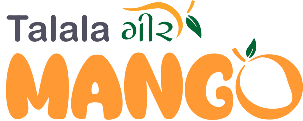 Talala Gir Mango | Real Test of Kesar Mango